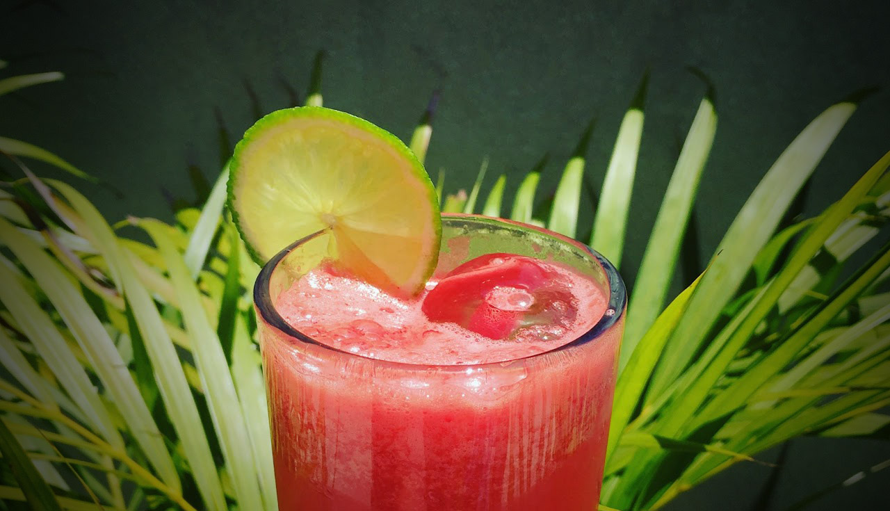 Hempress – Craft Hemp Infused Cocktails